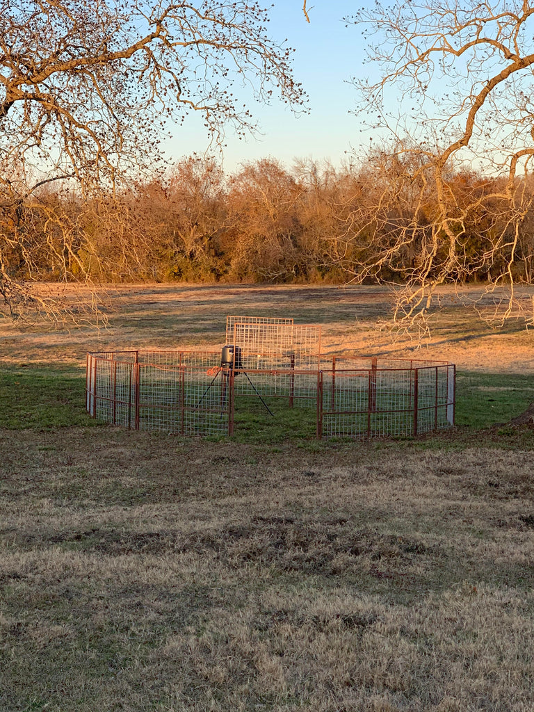 Cell Phone Activated Hog Trap Door Texas | Remote Controlled Hog Trap ...