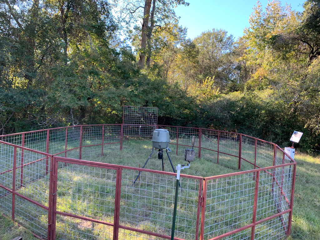 Wireless Cell Phone Activated Hog Trap | Diy Cellular Hog Trap Trigger ...